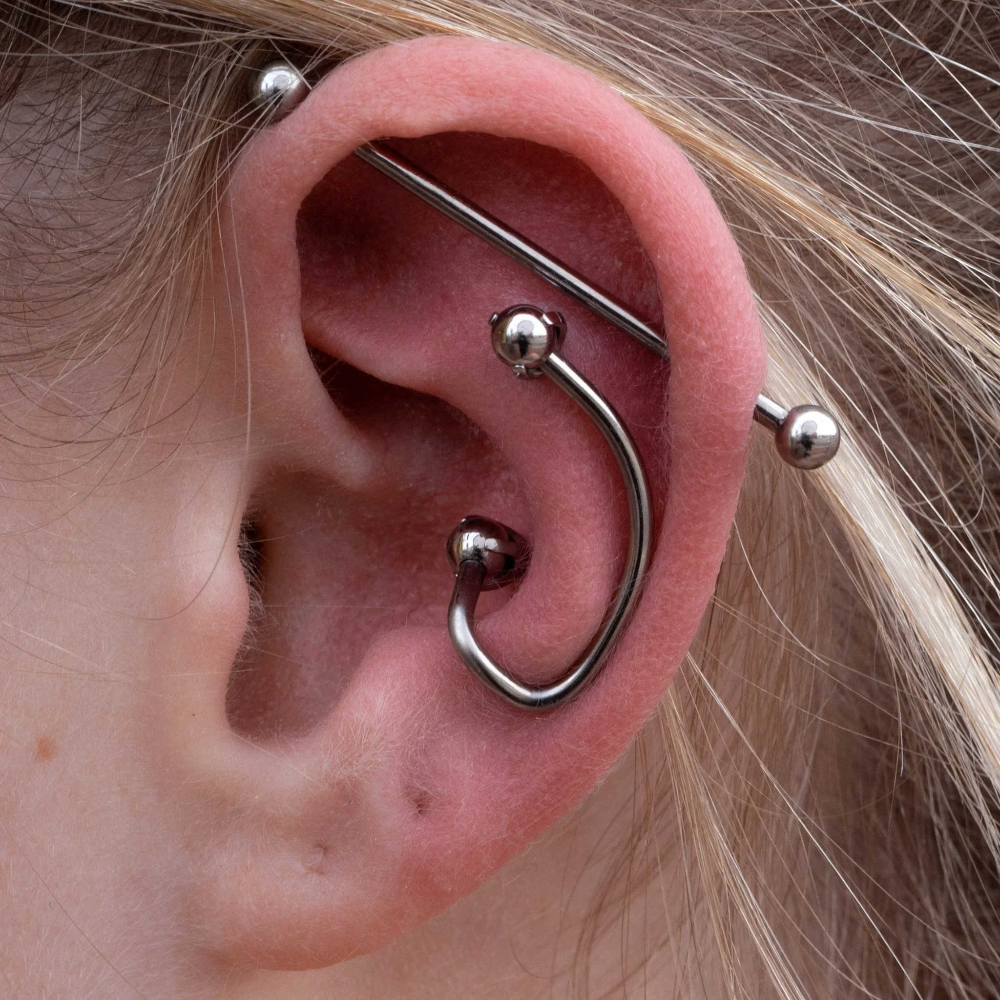 Piercing Prices — Live Wire Tattoo and Piercing