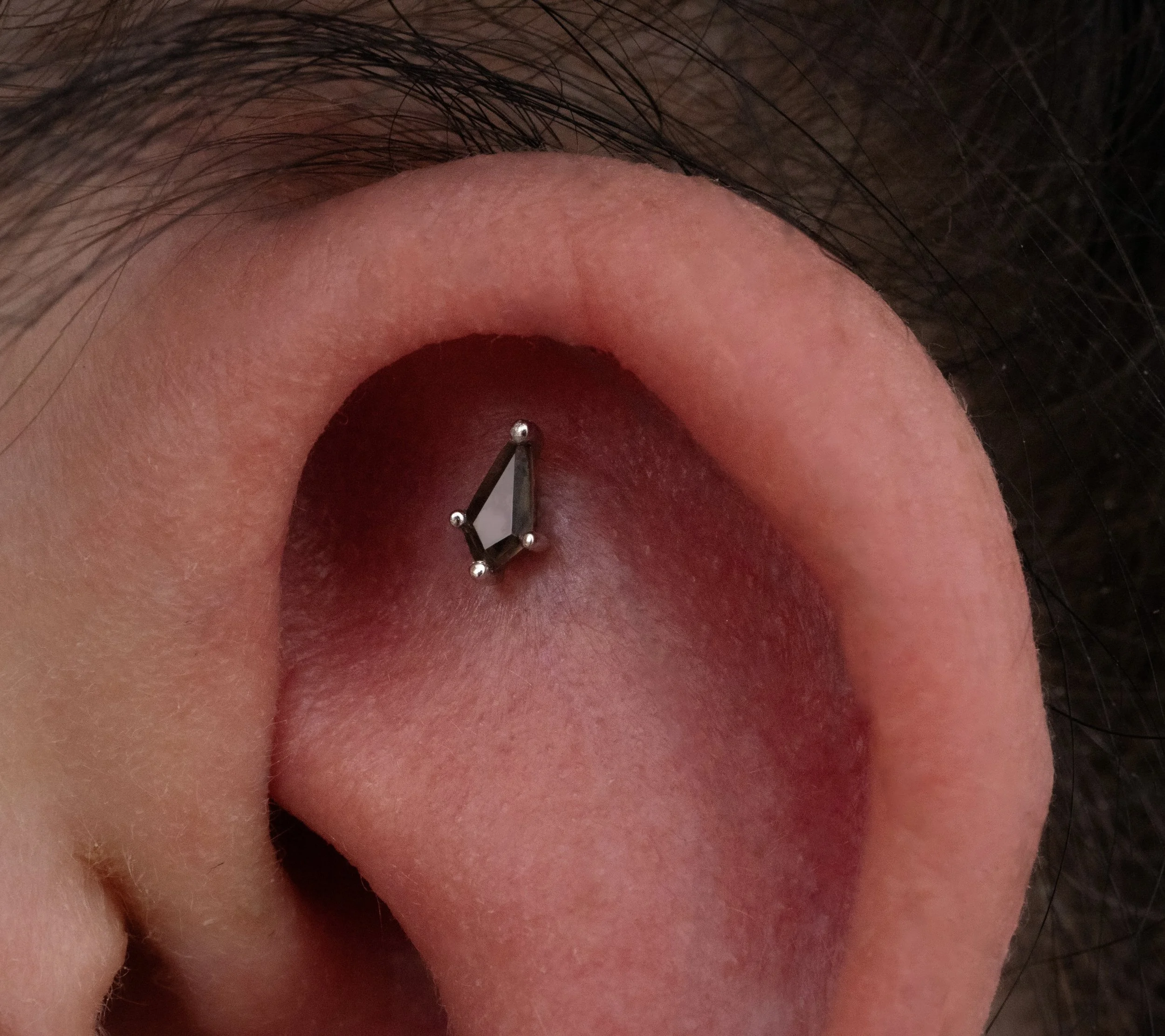 Piercing Prices — Live Wire Tattoo and Piercing