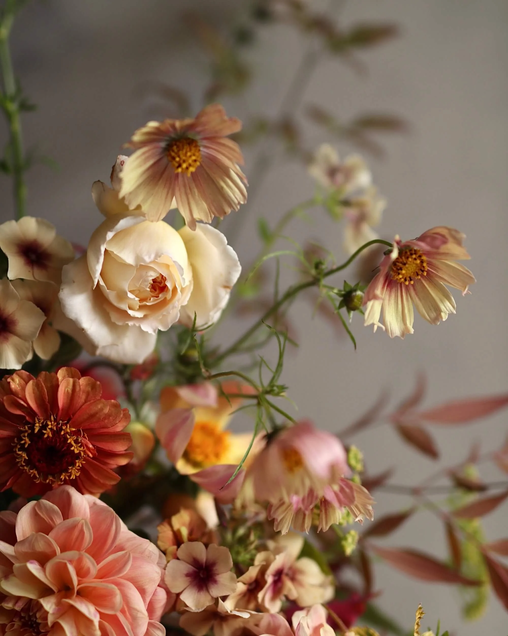 Katherine English Flora