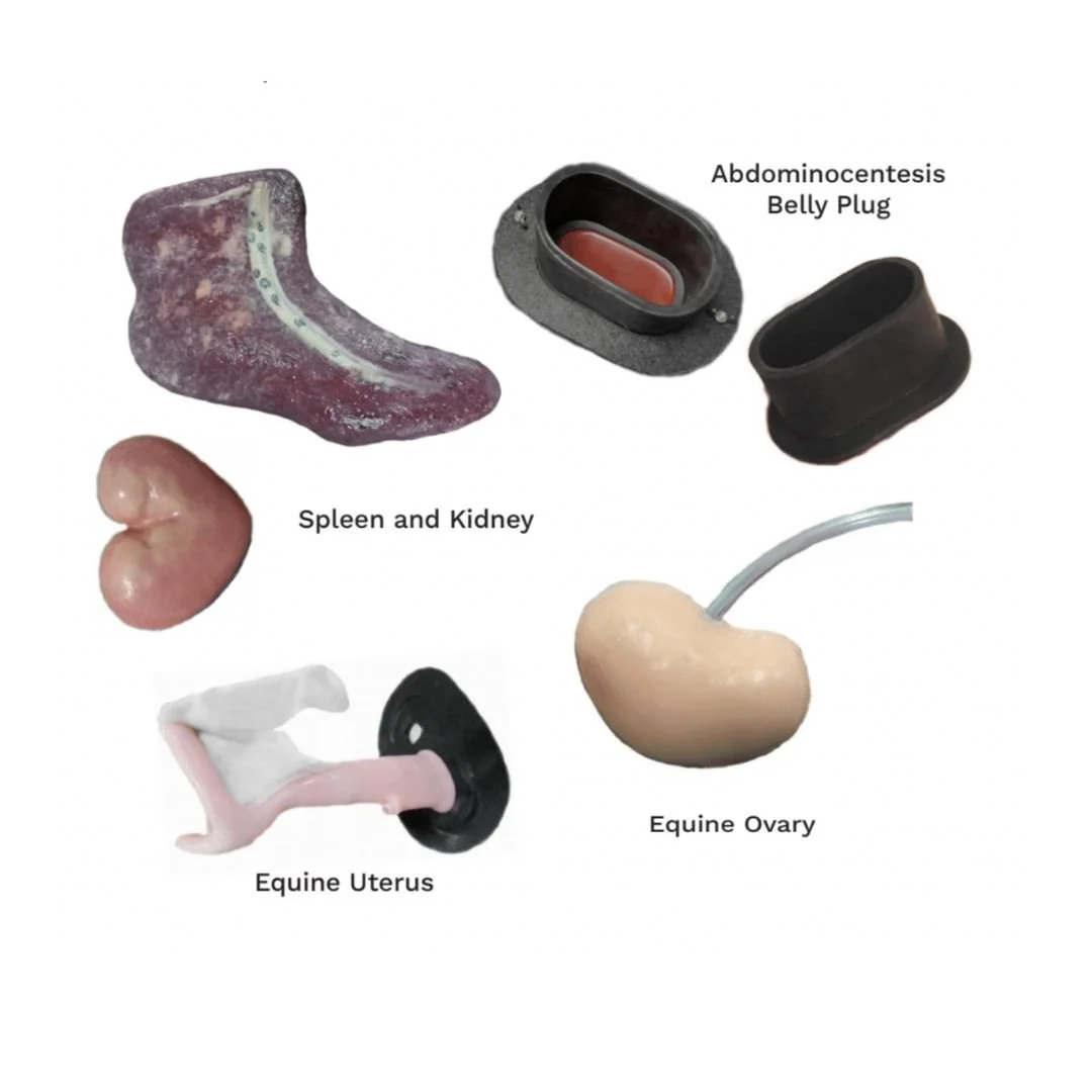 Product Details — Veterinary Simulator Industries