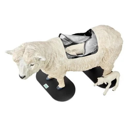 Home - Veterinary Simulator Industries