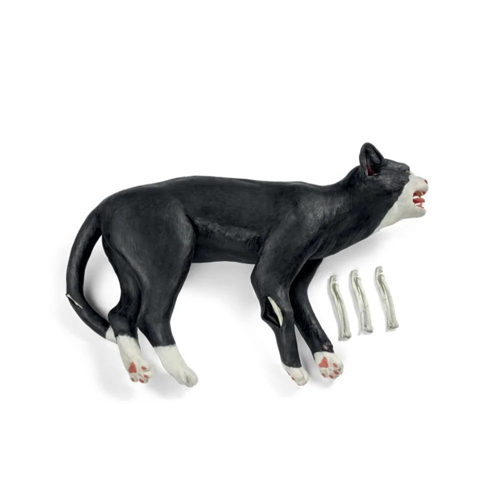 Feline — Veterinary Simulator Industries