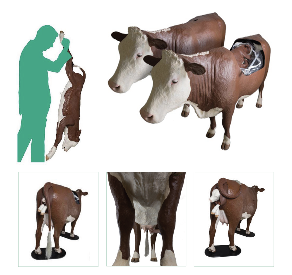 Product Details — Veterinary Simulator Industries