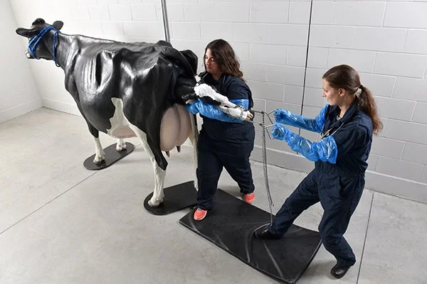 Home - Veterinary Simulator Industries