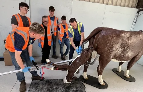 “Moo”-ving Veterinary Education Forward with Cutting-Edge Technology ...