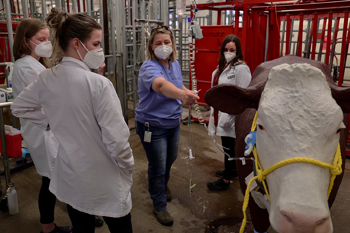 Home - Veterinary Simulator Industries