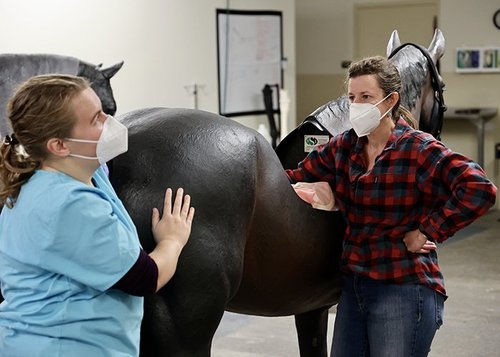 Home - Veterinary Simulator Industries