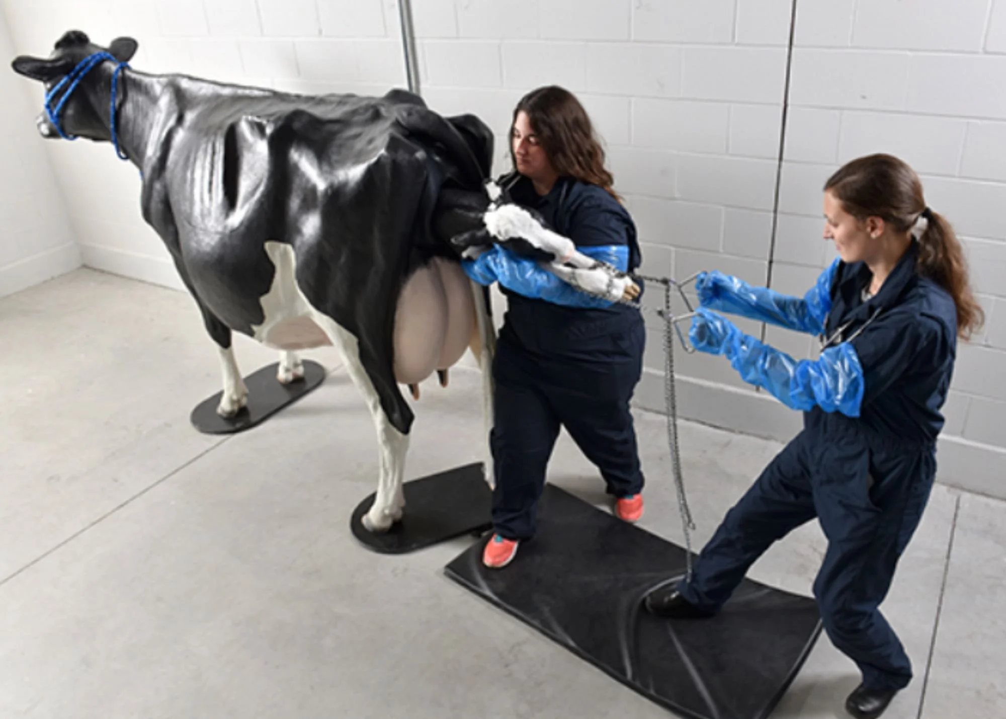 Practice Makes Perfect. — Veterinary Simulator Industries