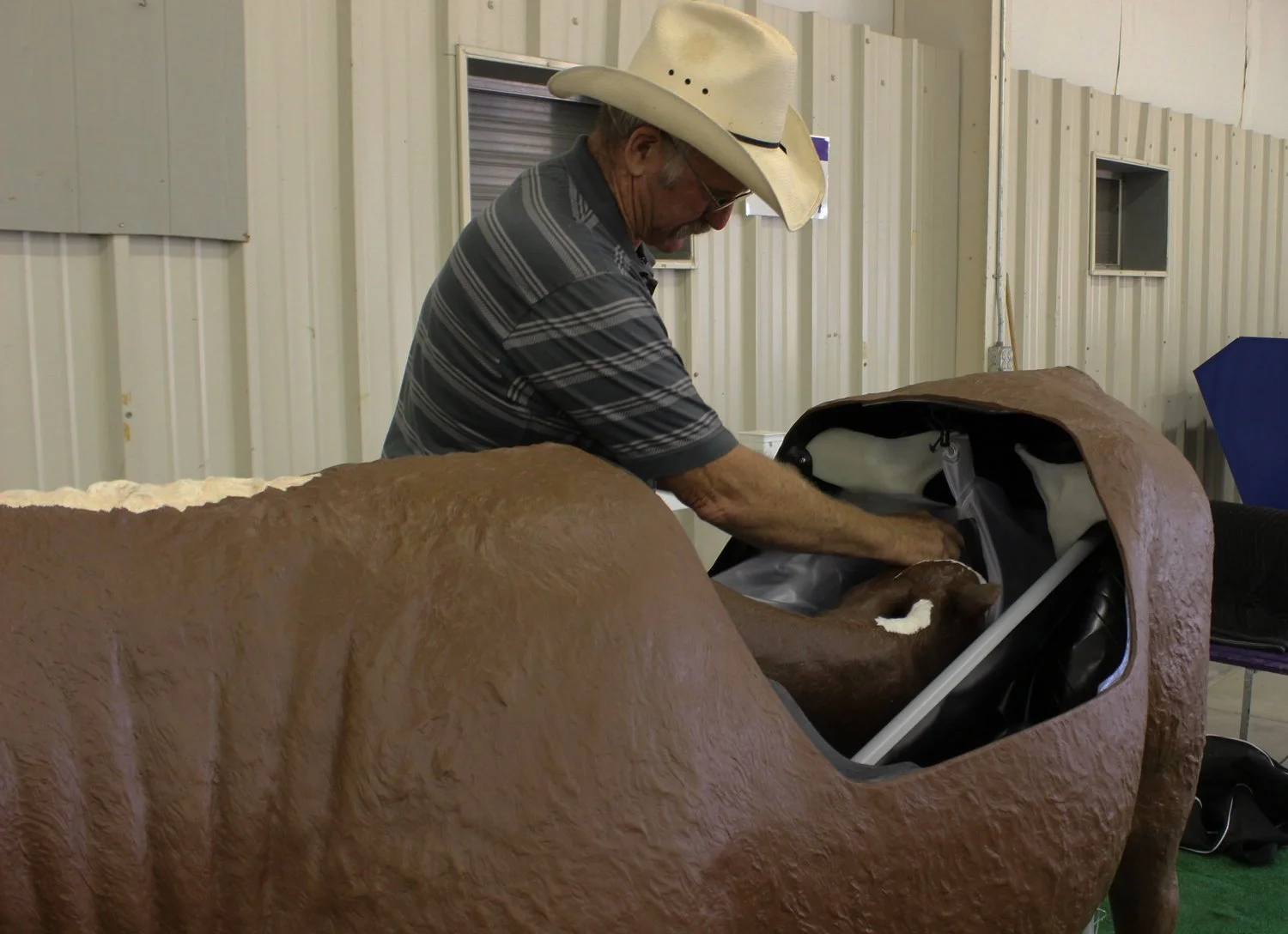 Home - Veterinary Simulator Industries