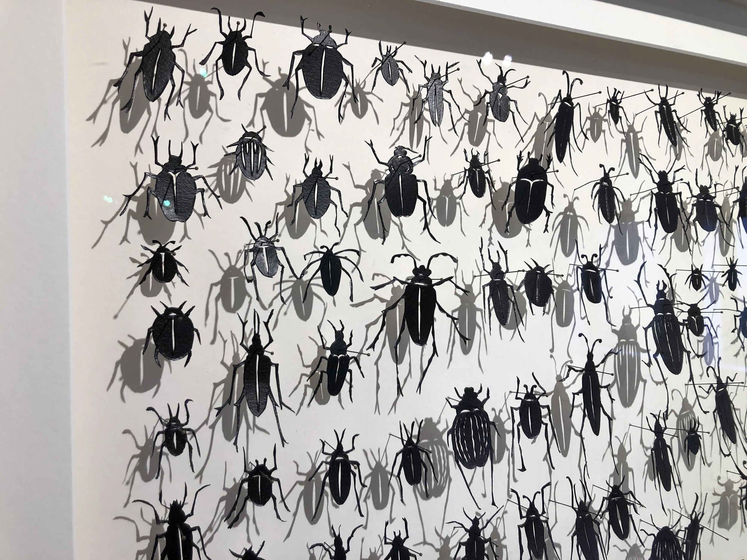 Artist profile: Ian Penney — the blackShed gallery