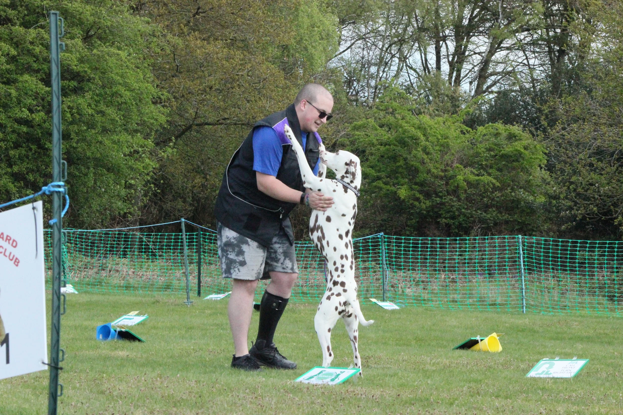 Welcome To Briar Dunn Dog Training