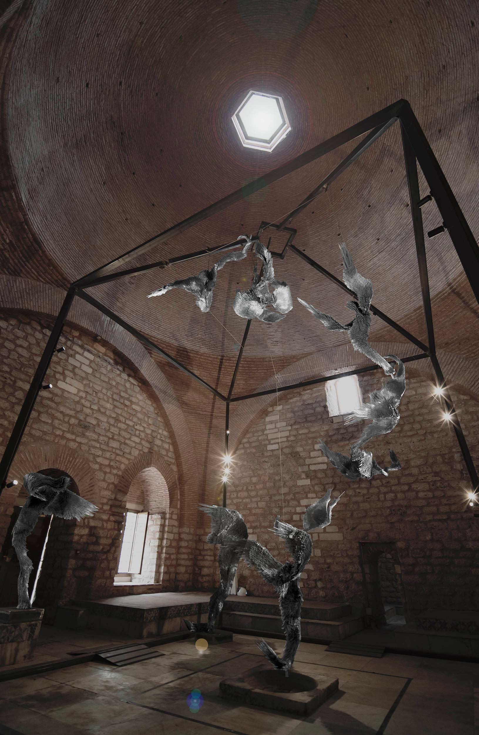 MURMURATIONS | JAKE MICHAEL SINGER