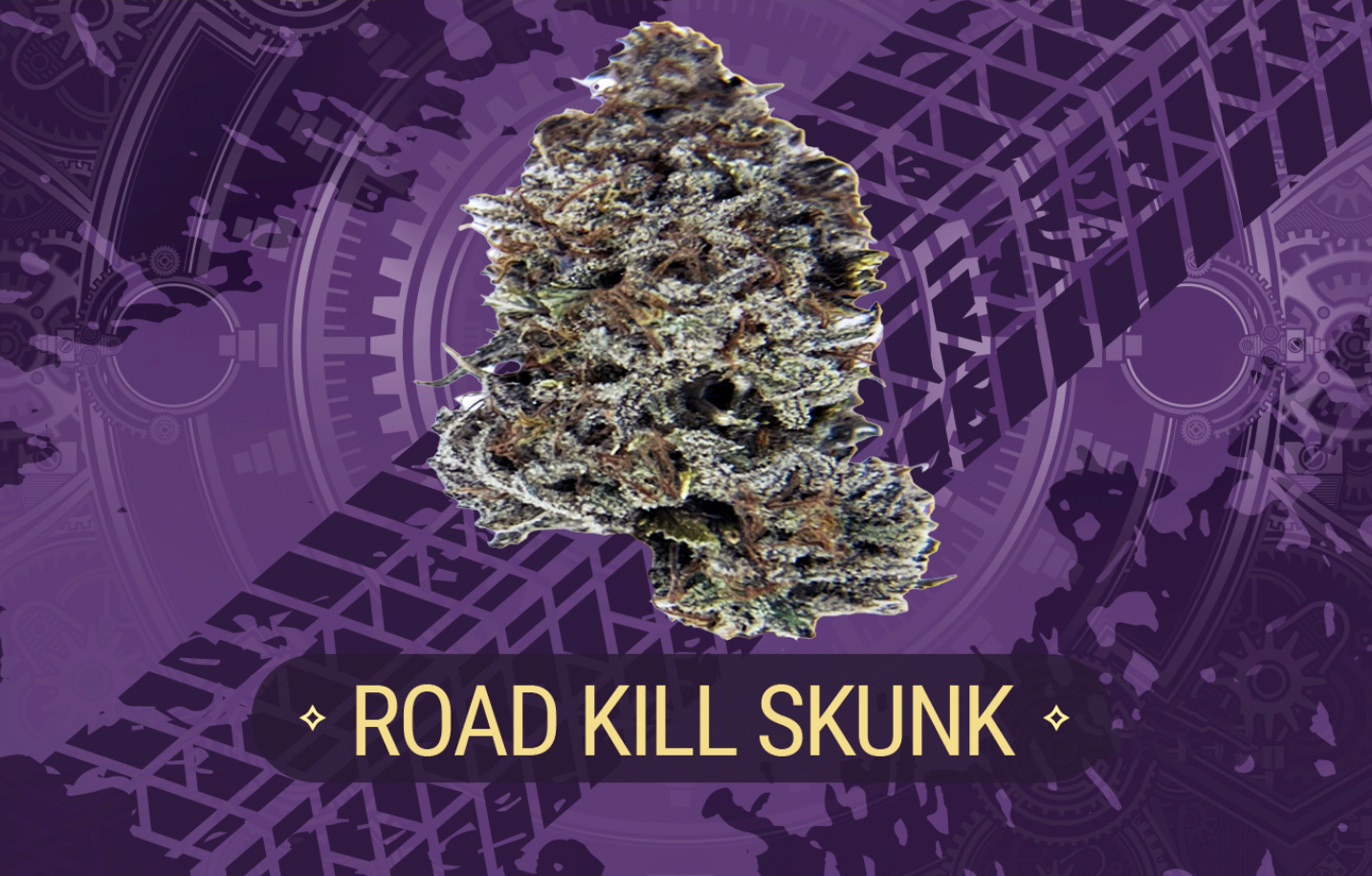 Cannabis Strains — Craft Cannabis of Vermont