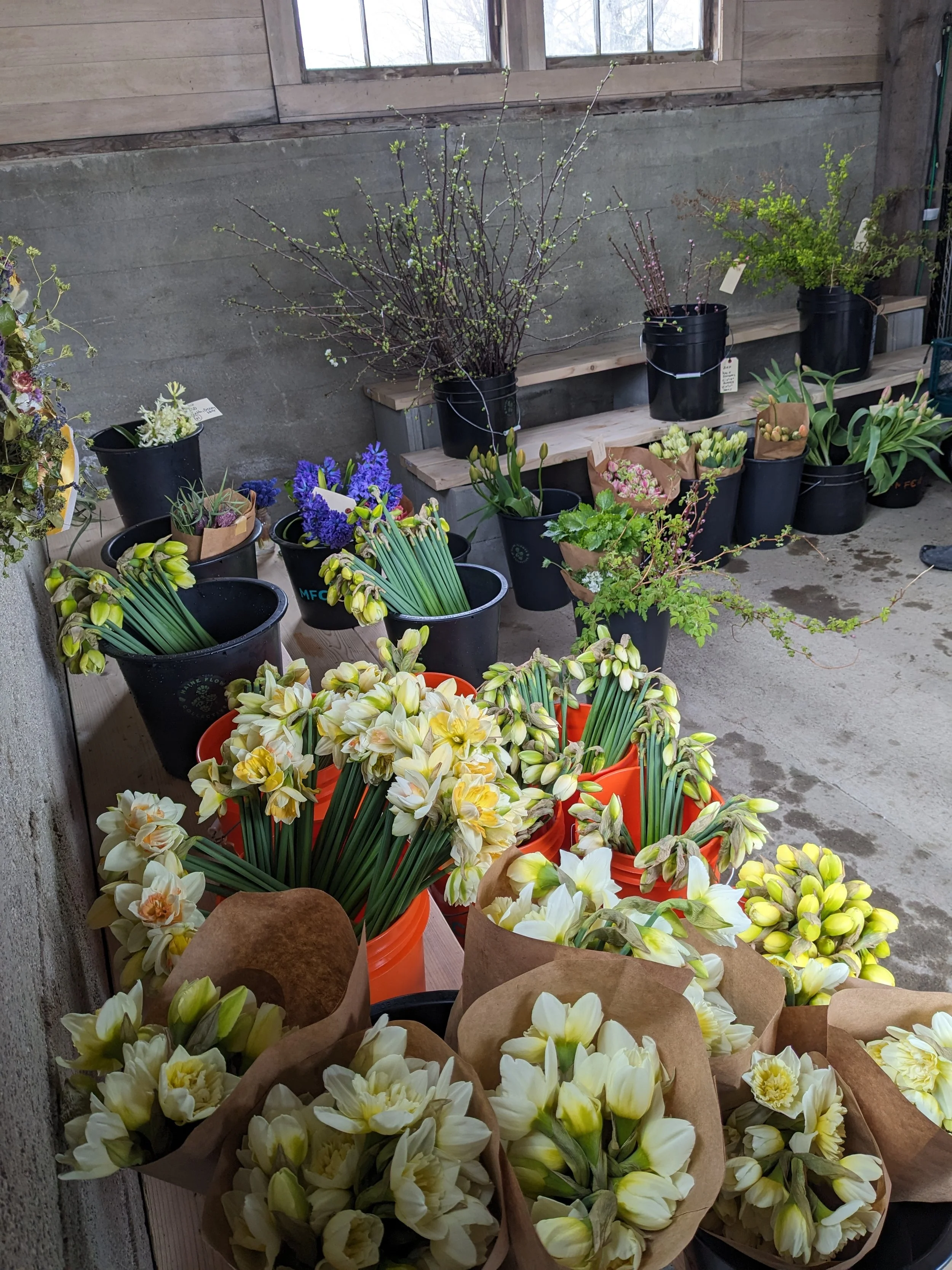 In-Person Wholesale Market — Maine Flower Collective