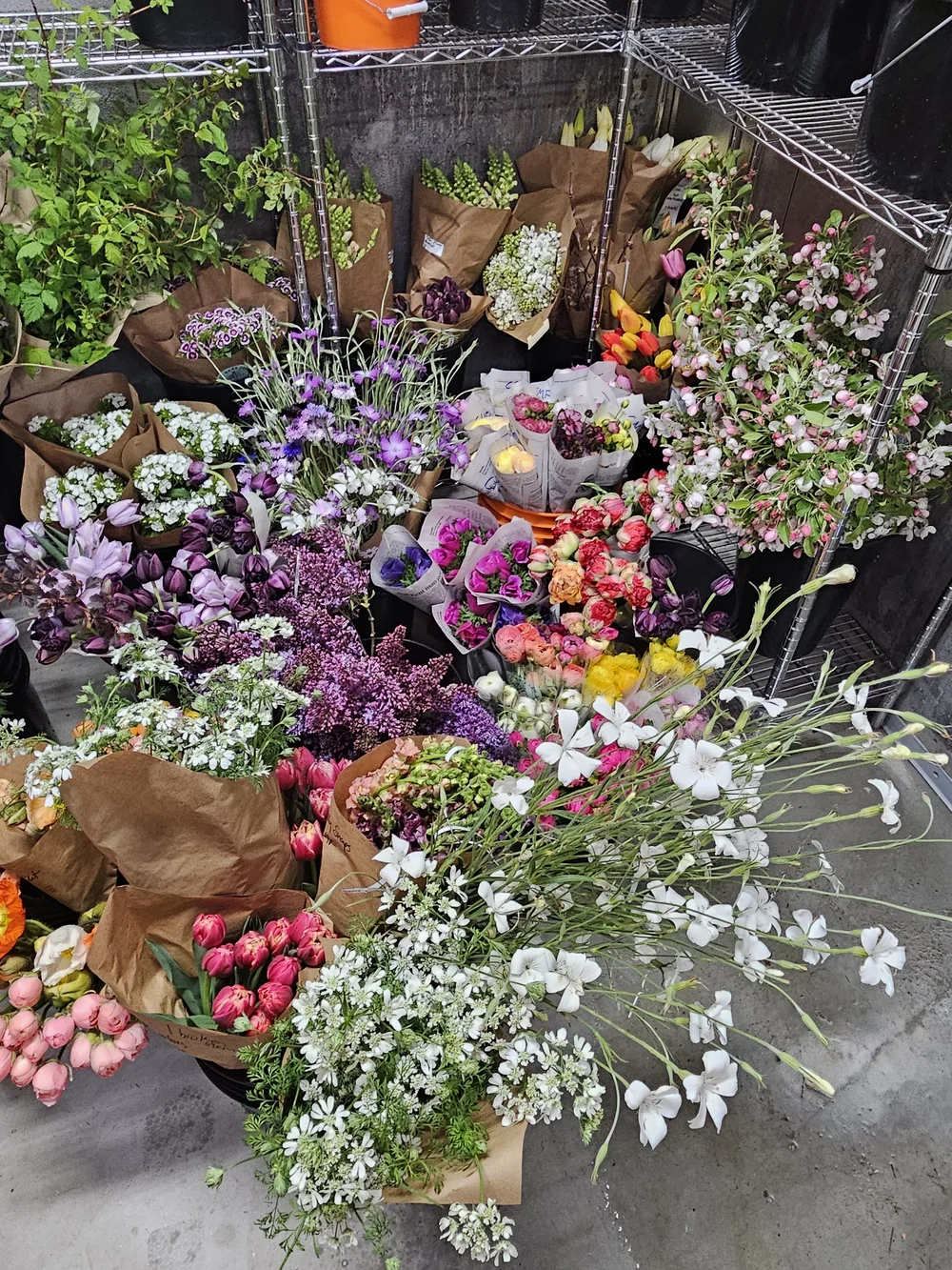 In-Person Wholesale Market — Maine Flower Collective