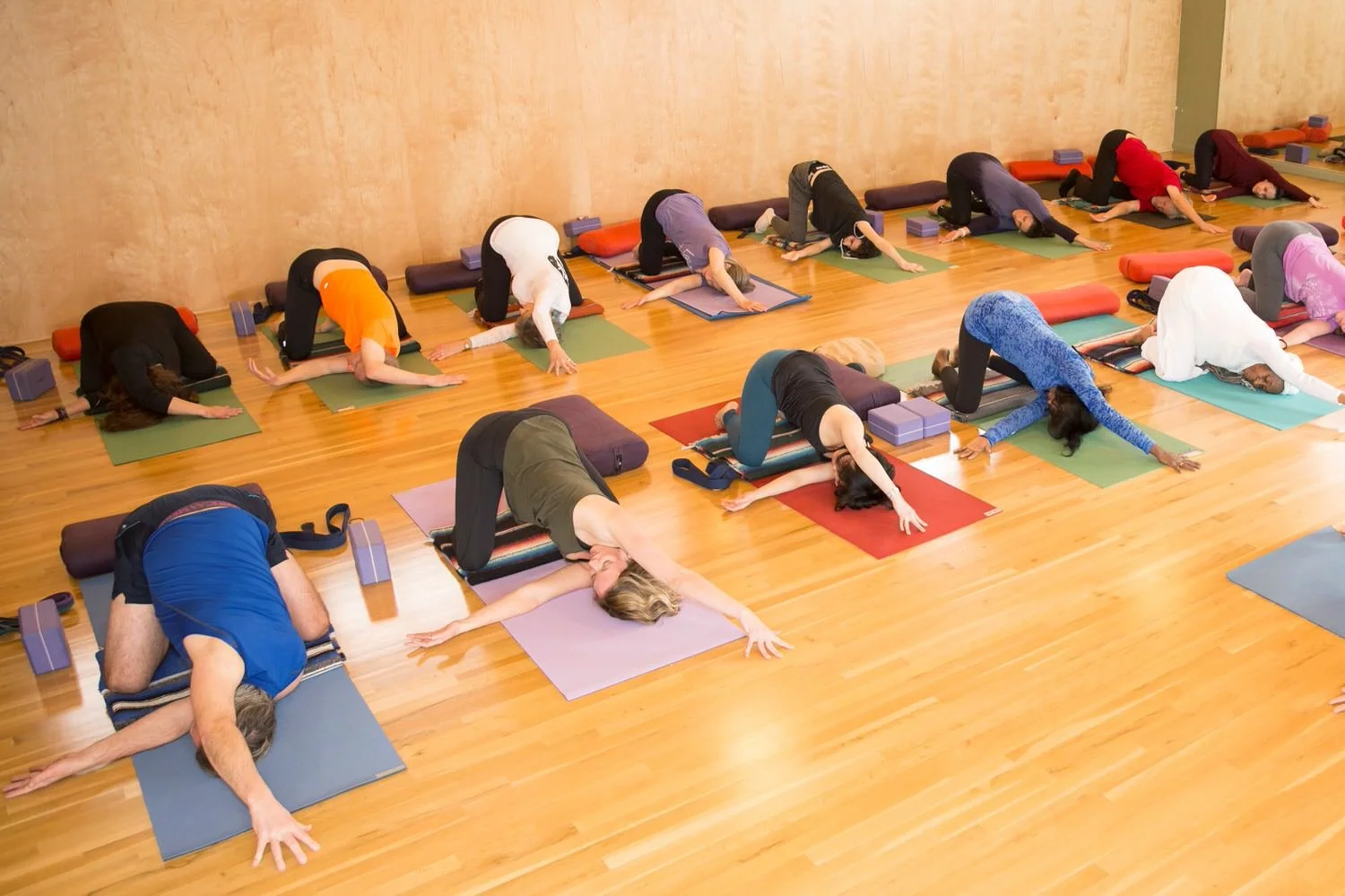 Yoga Teacher Training Fayetteville, AR | Arkansas Yoga & Therapy Center