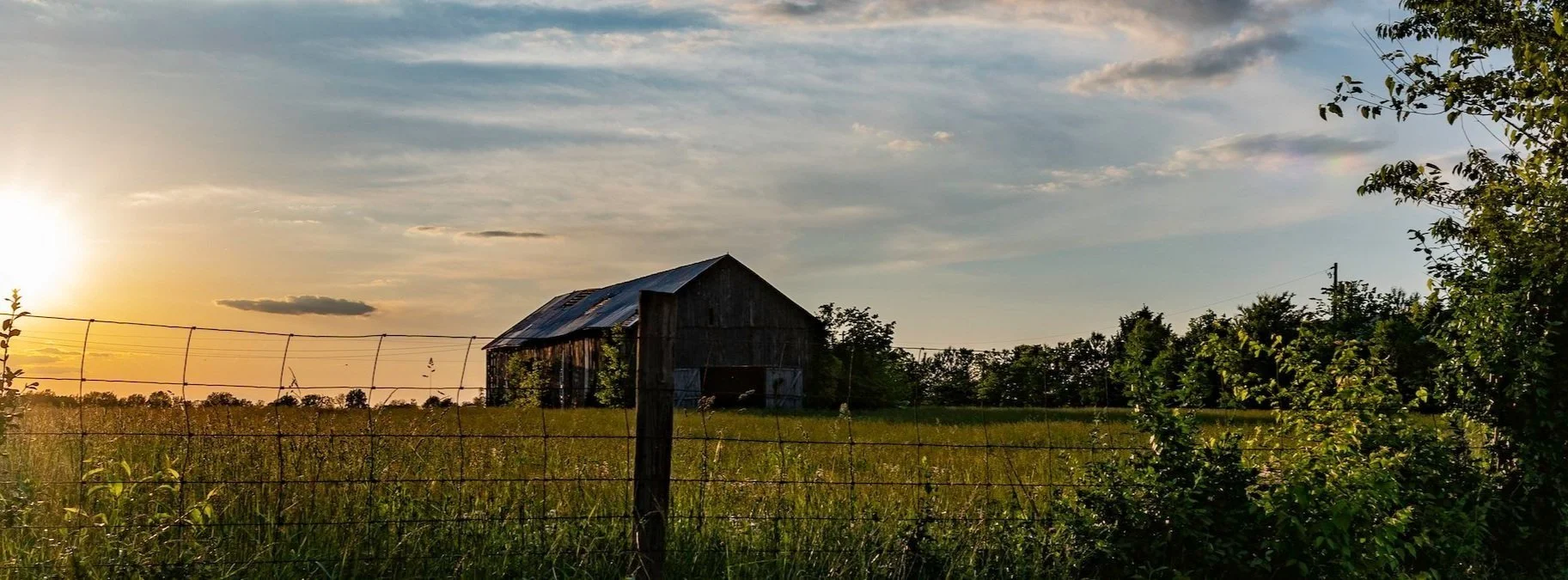 About the OneOhio Recovery Foundation — OneOhio Recovery Foundation