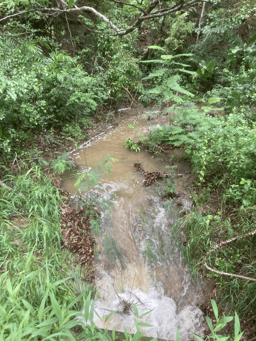 Watershed — VI EPSCoR