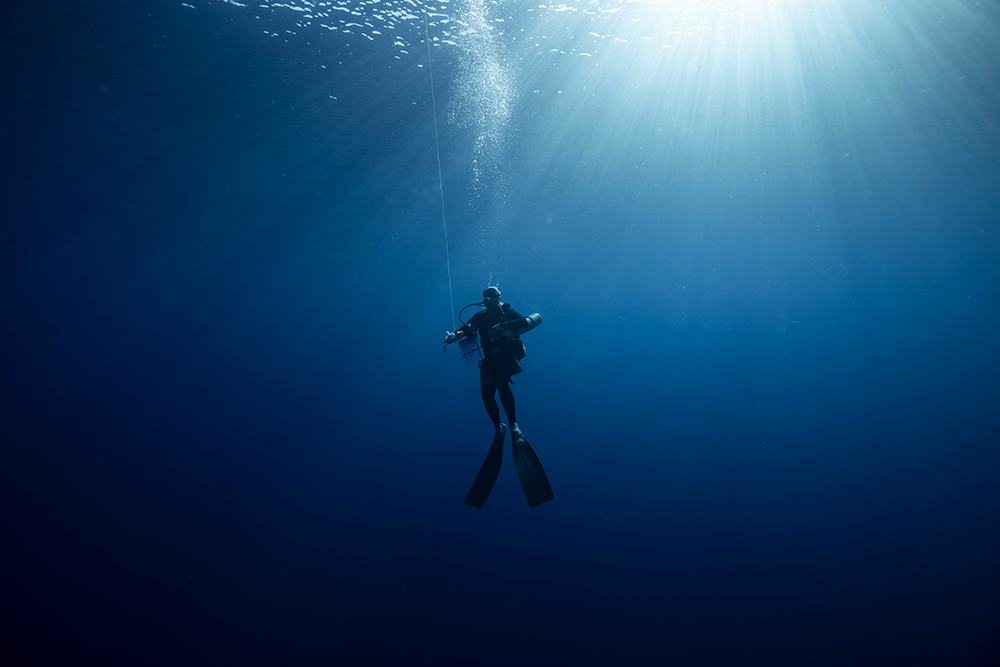 Fish Ecology — VI EPSCoR