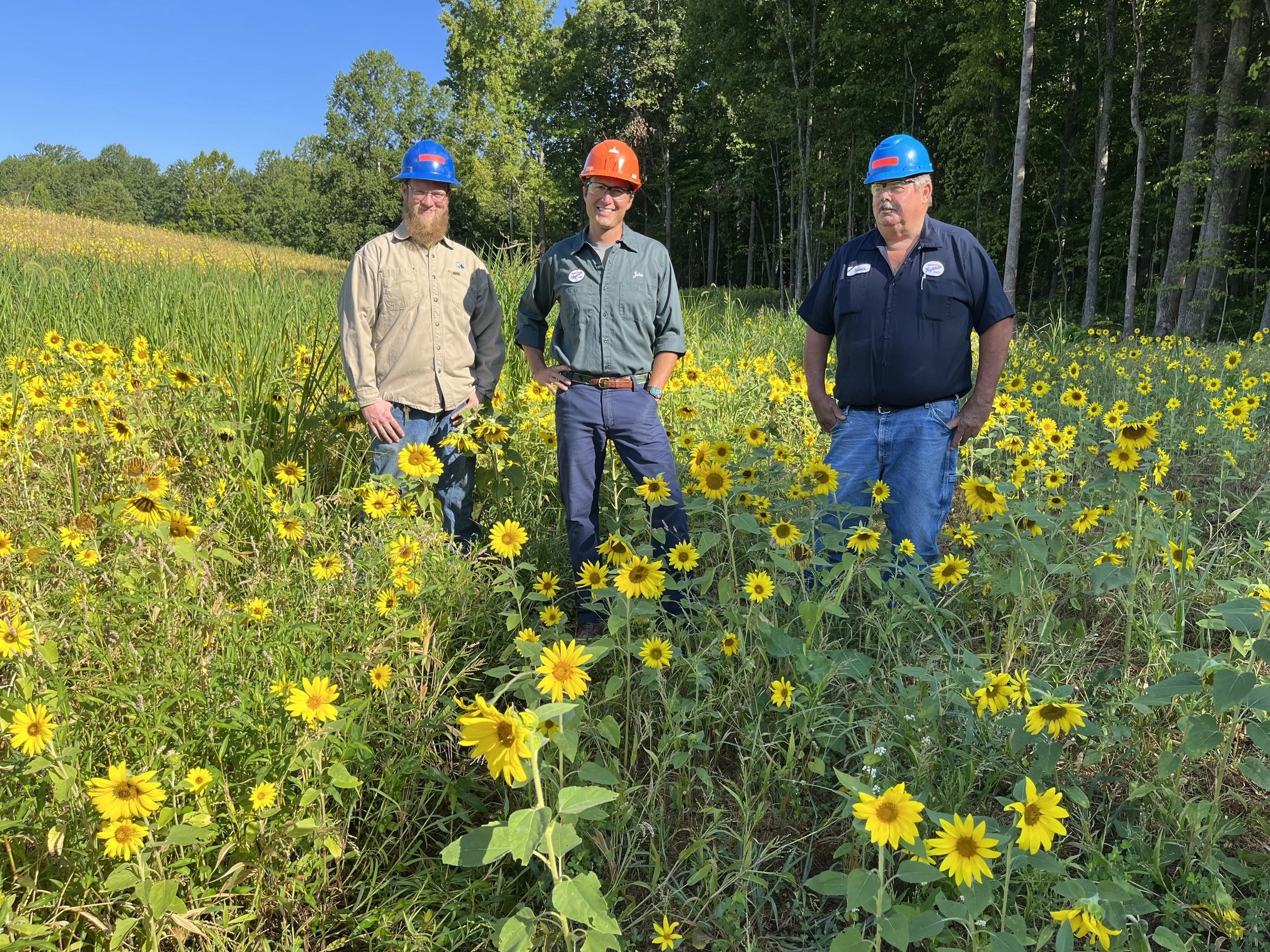 Our Environmental Stewardship: Reclamation — Kyanite Mining Corporation