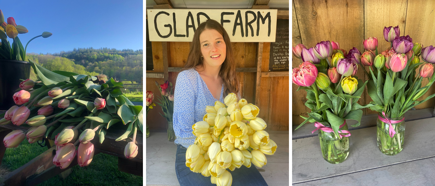 Vermont Wedding Flowers, Glad Farm VT- Summer Flower CSA for Moretown ...