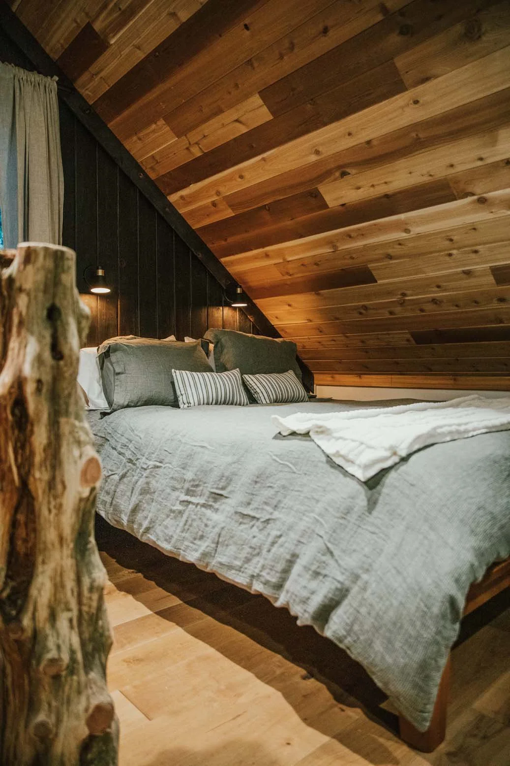 General 3 — Pepin Forest Treehouse