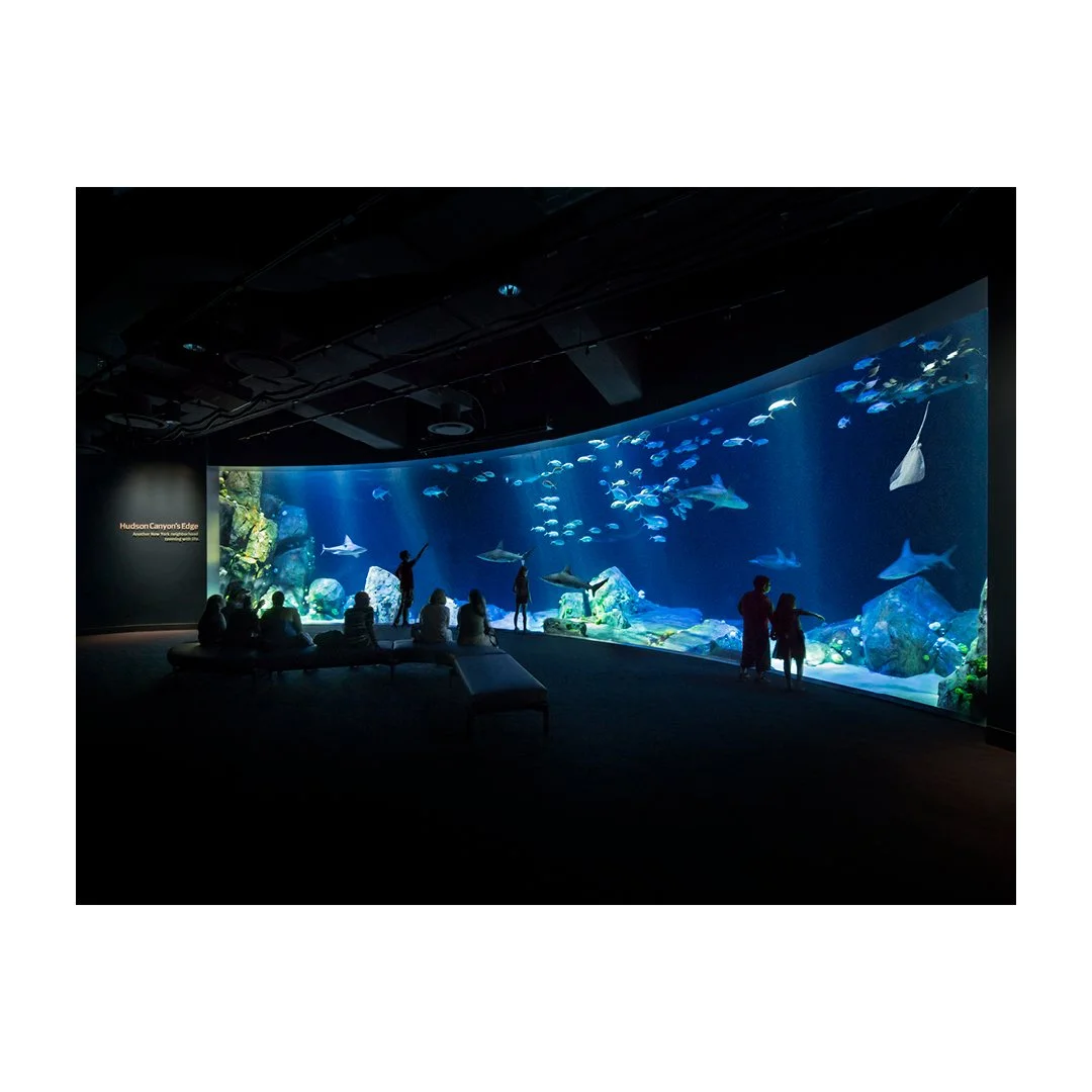 387,000-Gallon Tank at the Ocean Wonders: Sharks! Exhibit — ESKW/Architects