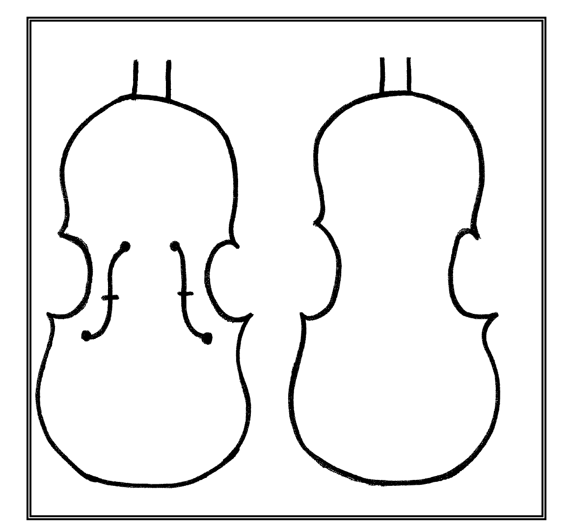 Painted Violin Project — Rushmore Music Festival