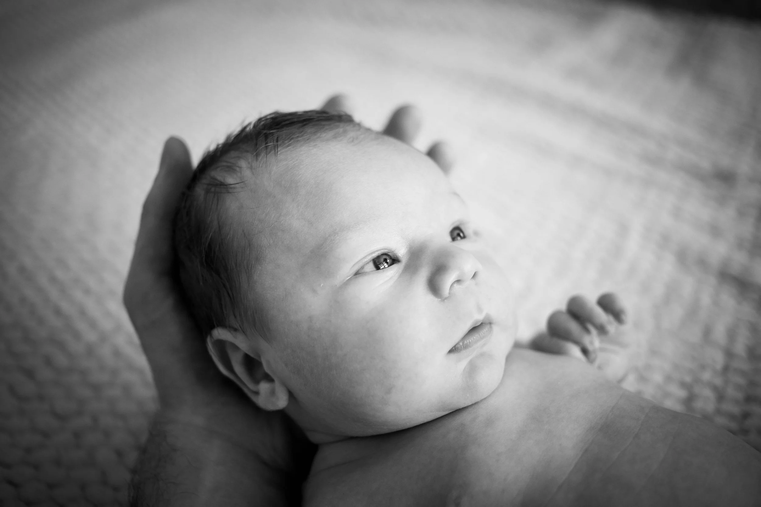 Messmer Meadows Photography