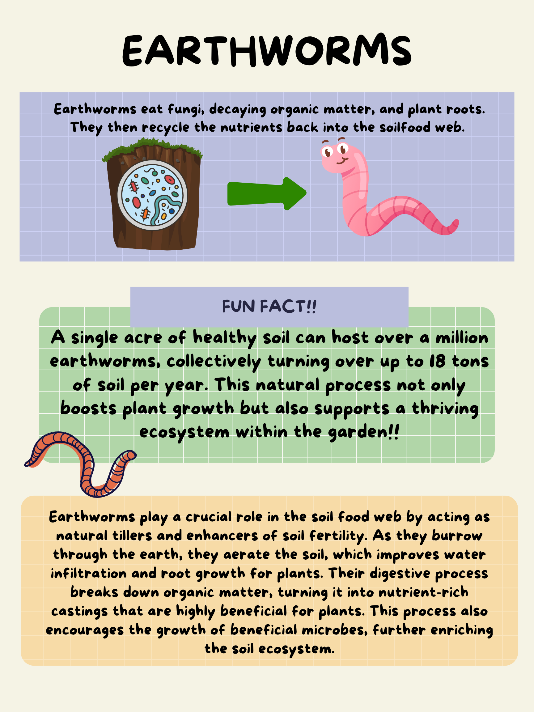 Soil Food Web Posters — Good Food Green City