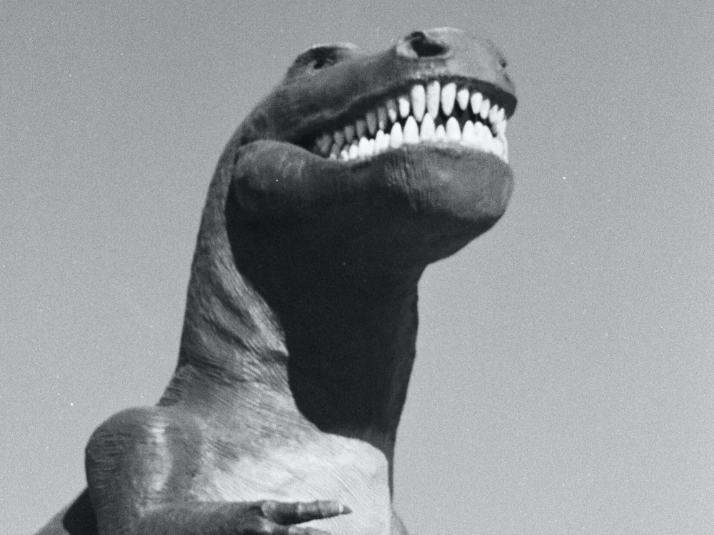 Could Understanding Your Primal Brain Be The Key To Reducing Your ...