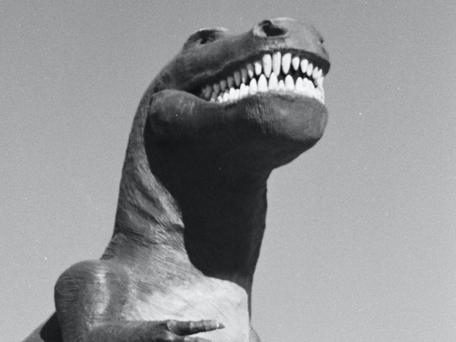 Could Understanding Your Primal Brain Be The Key To Reducing Your ...