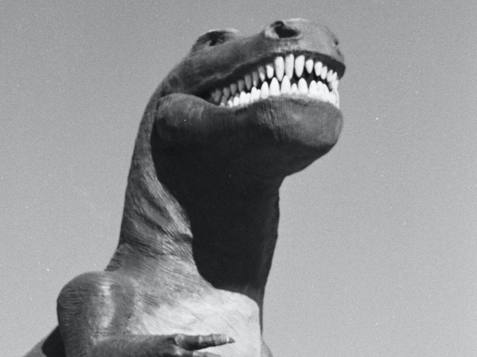 Could Understanding Your Primal Brain Be The Key To Reducing Your ...