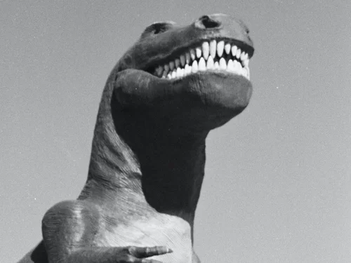 Could Understanding Your Primal Brain Be The Key To Reducing Your ...