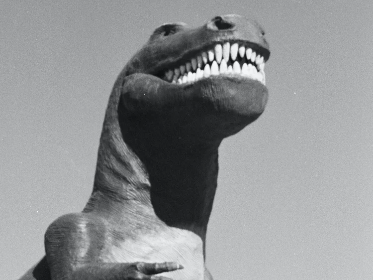 Could Understanding Your Primal Brain Be The Key To Reducing Your ...