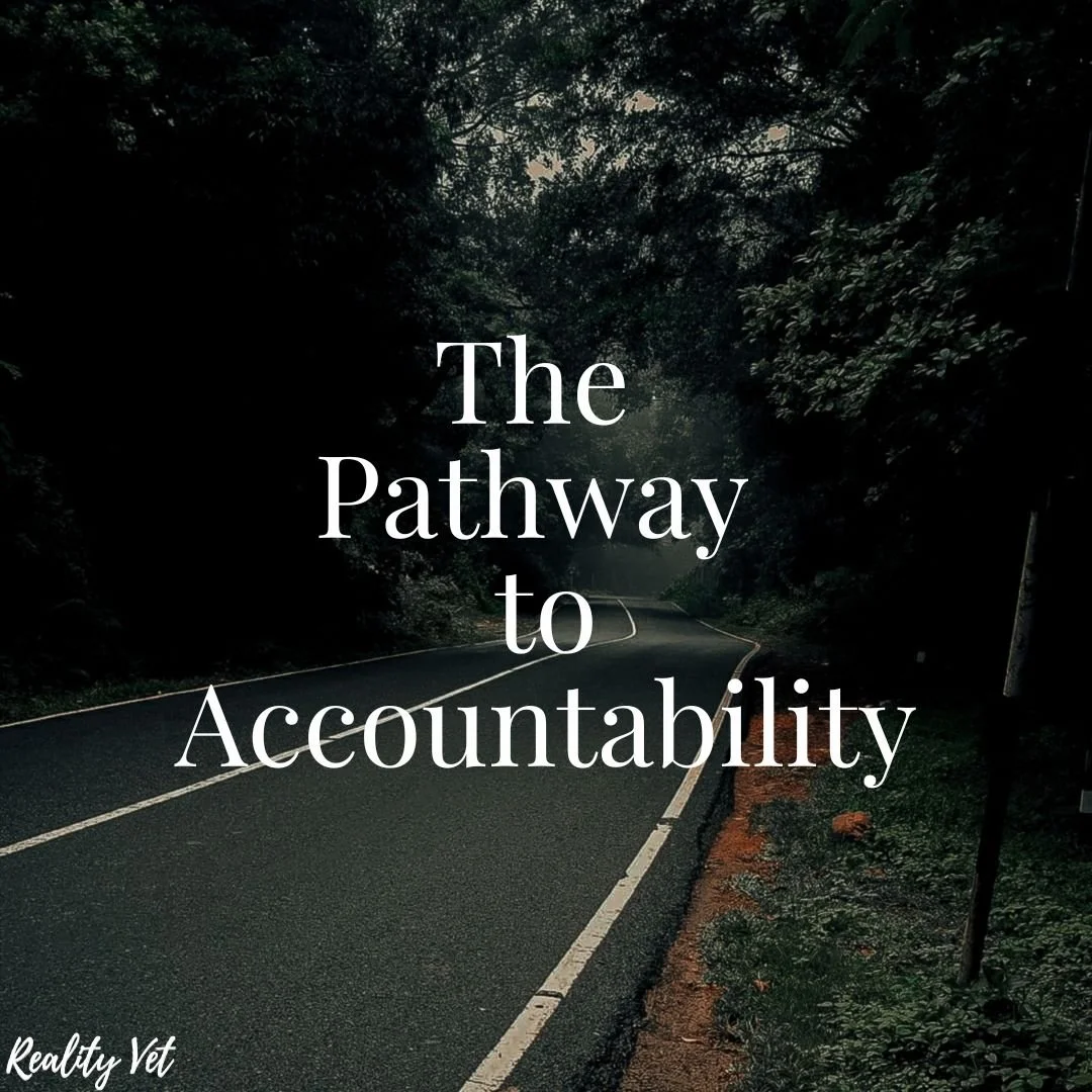 The Pathway to Accountability — Reality Vet Coaching & Consulting