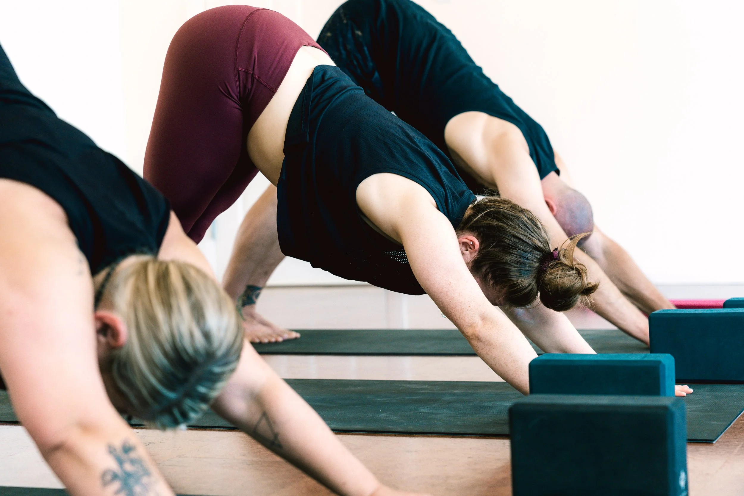 Shala Yoga Studio - Squamish Wellness
