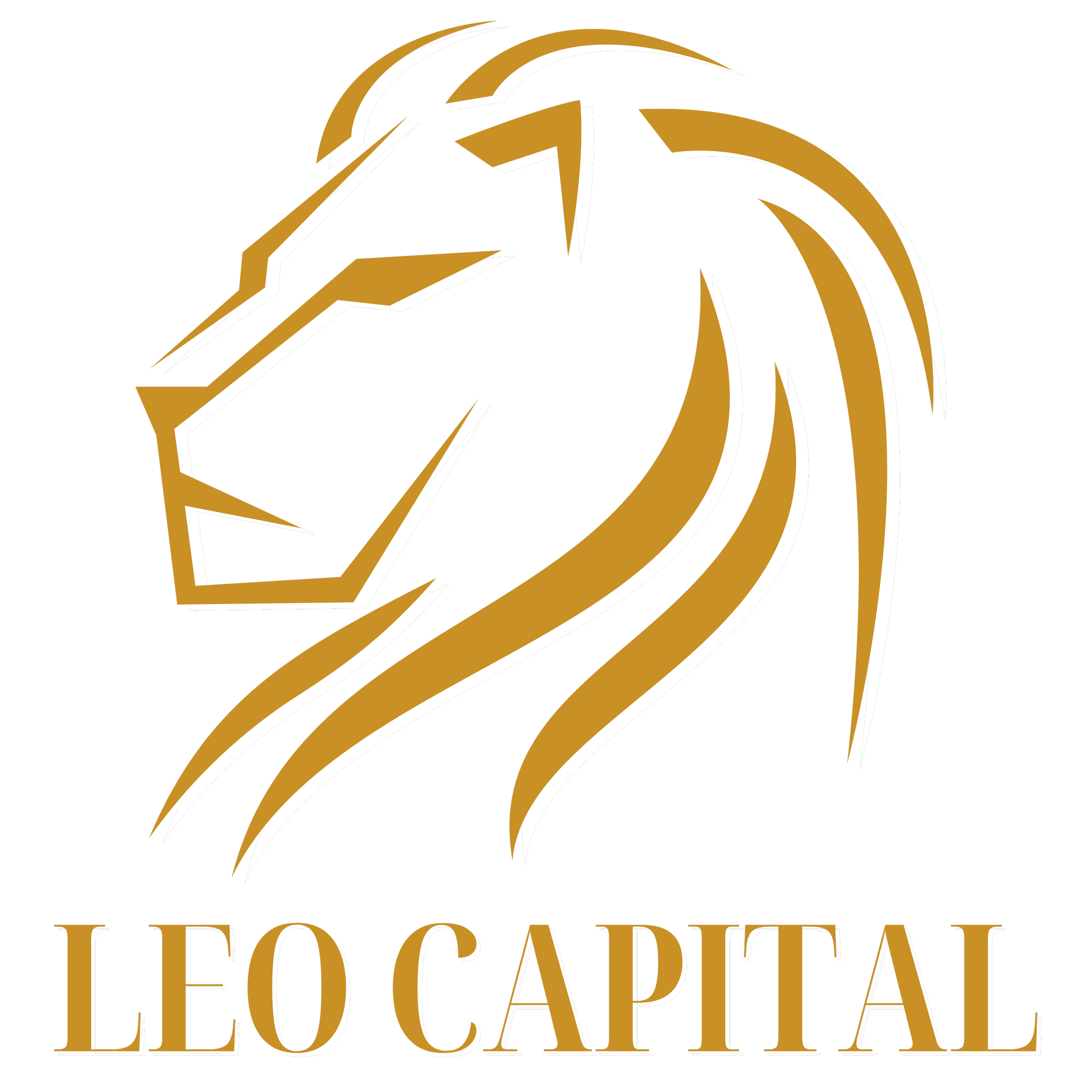 Application — Leo Capital Funding