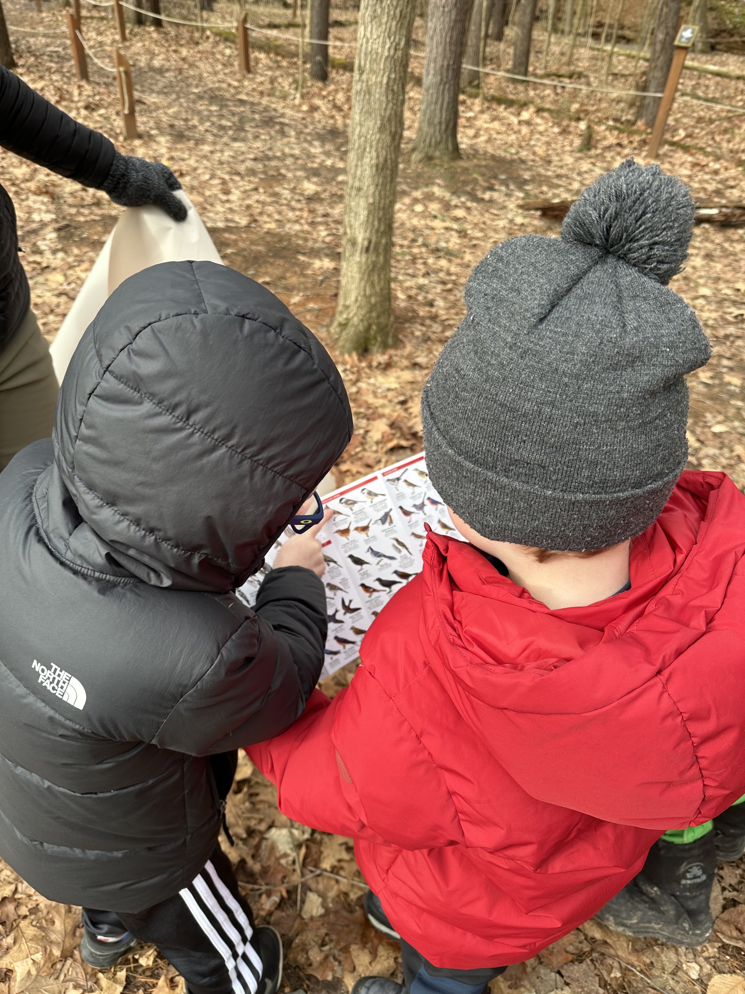 Forestways Occupational Therapy