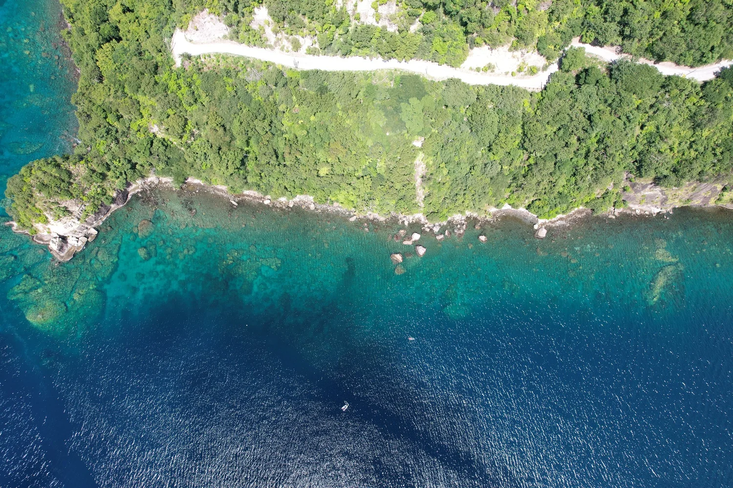 TRAVELING WITH NIQUA