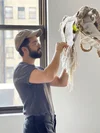 Meet the Artist — William Storms
