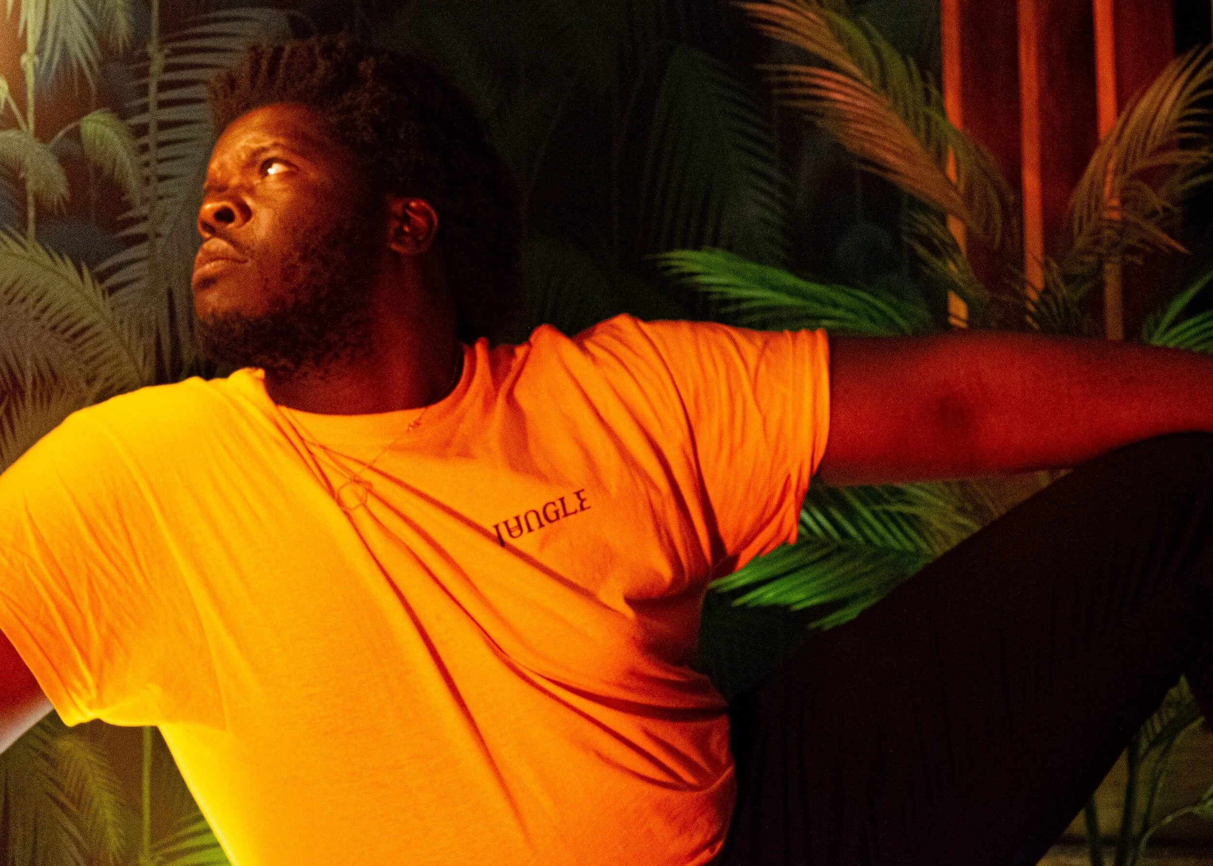 About — Messy Roots