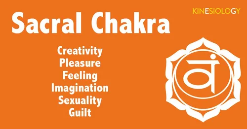 How to Support Your Sacral Chakra — ELISE GUY KINESIOLOGY