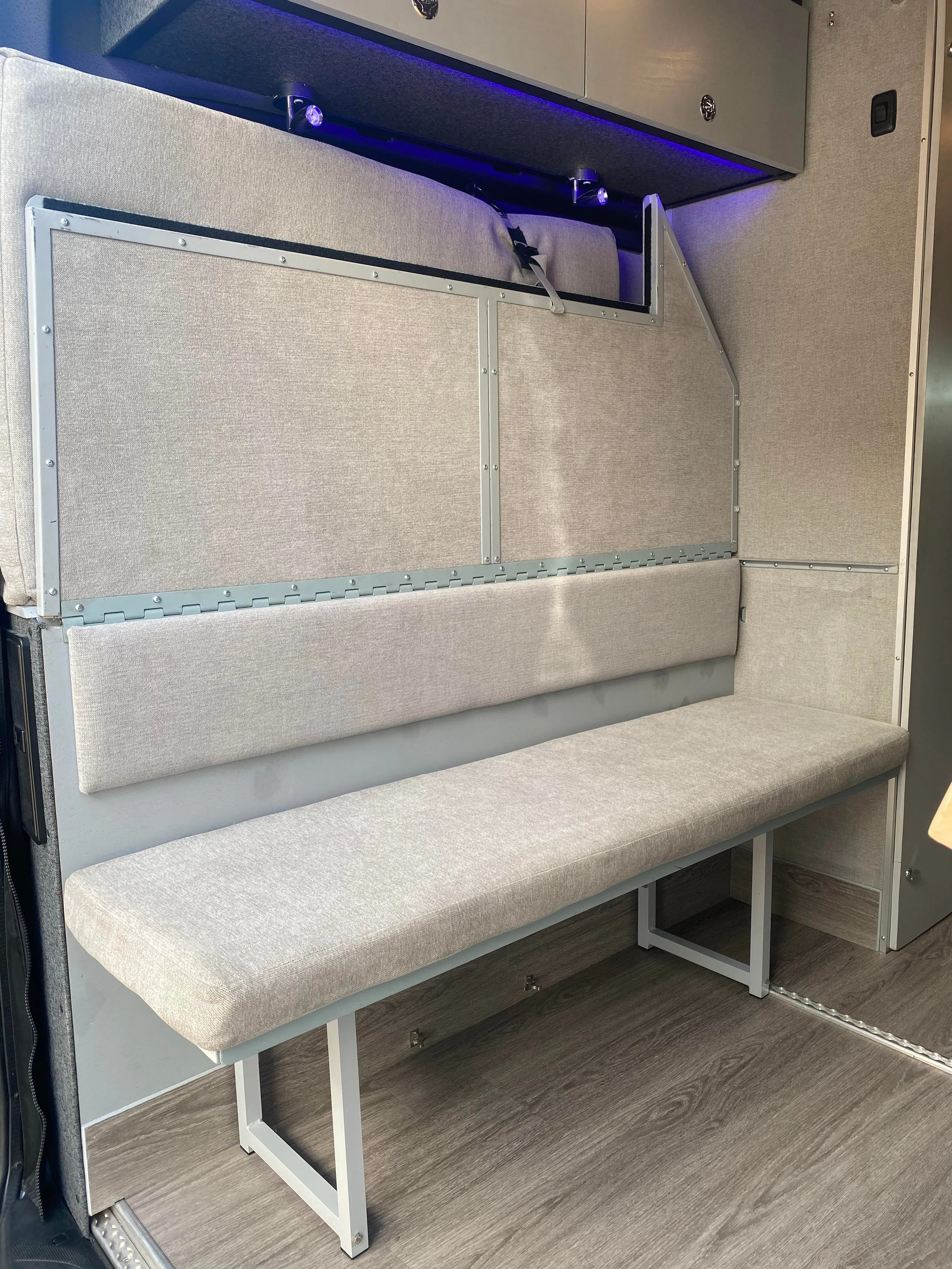 TrueVan Vision X — TrueVan