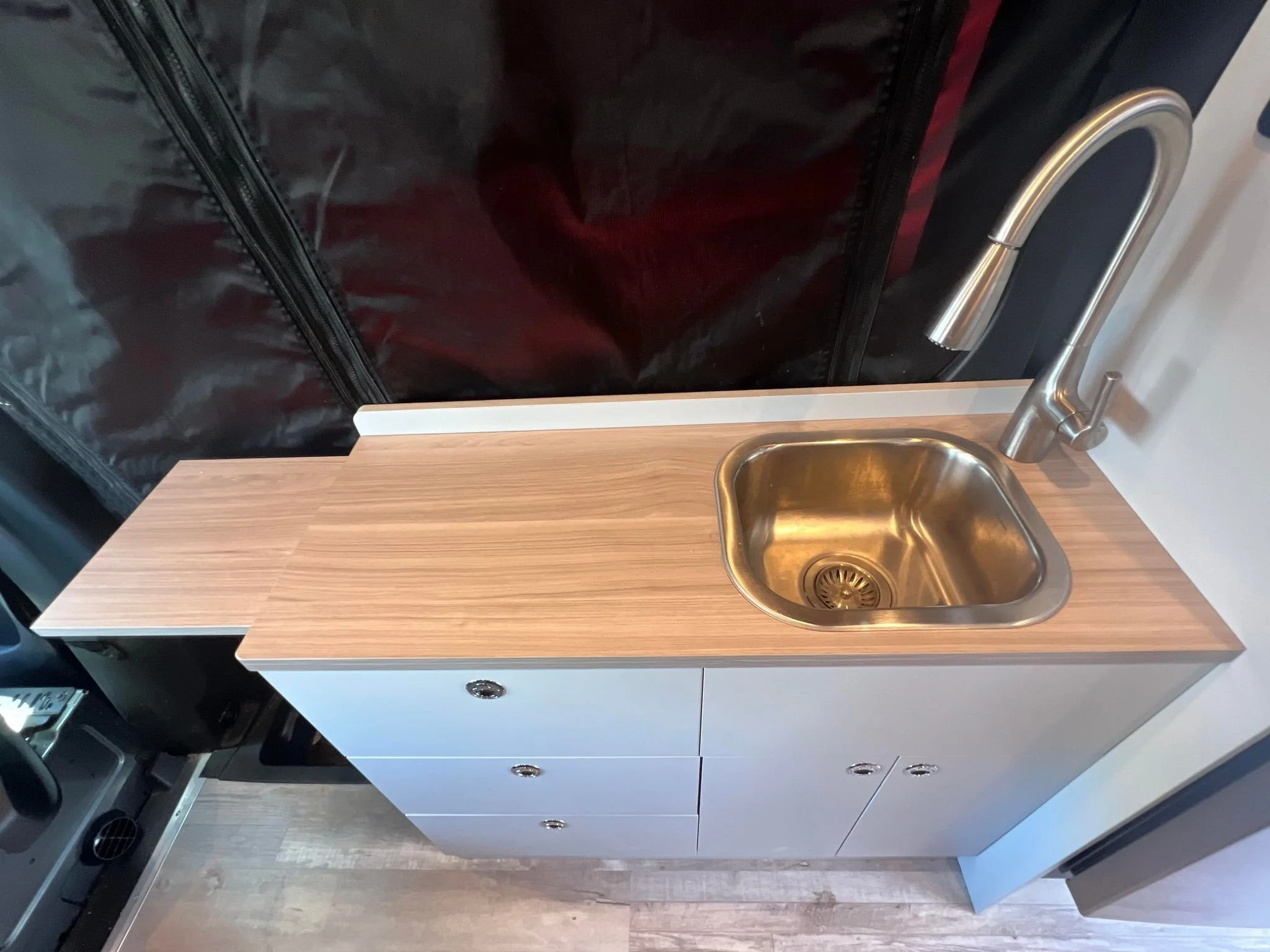 TrueVan Vision X — TrueVan