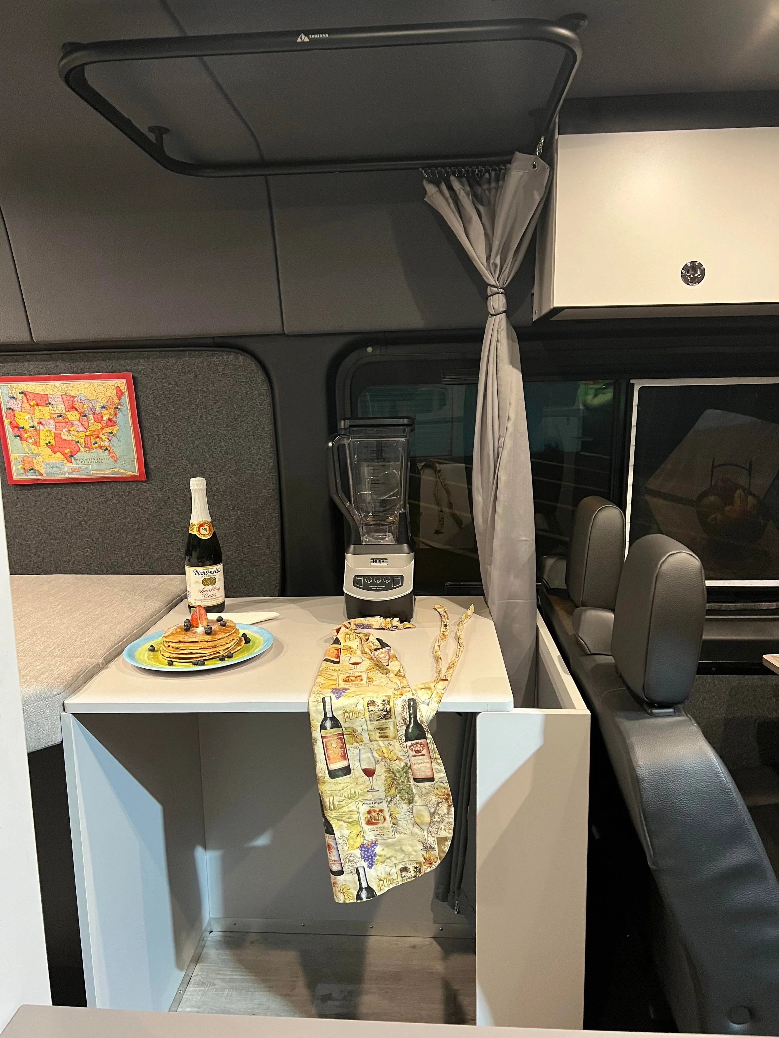 TrueVan Vision X — TrueVan