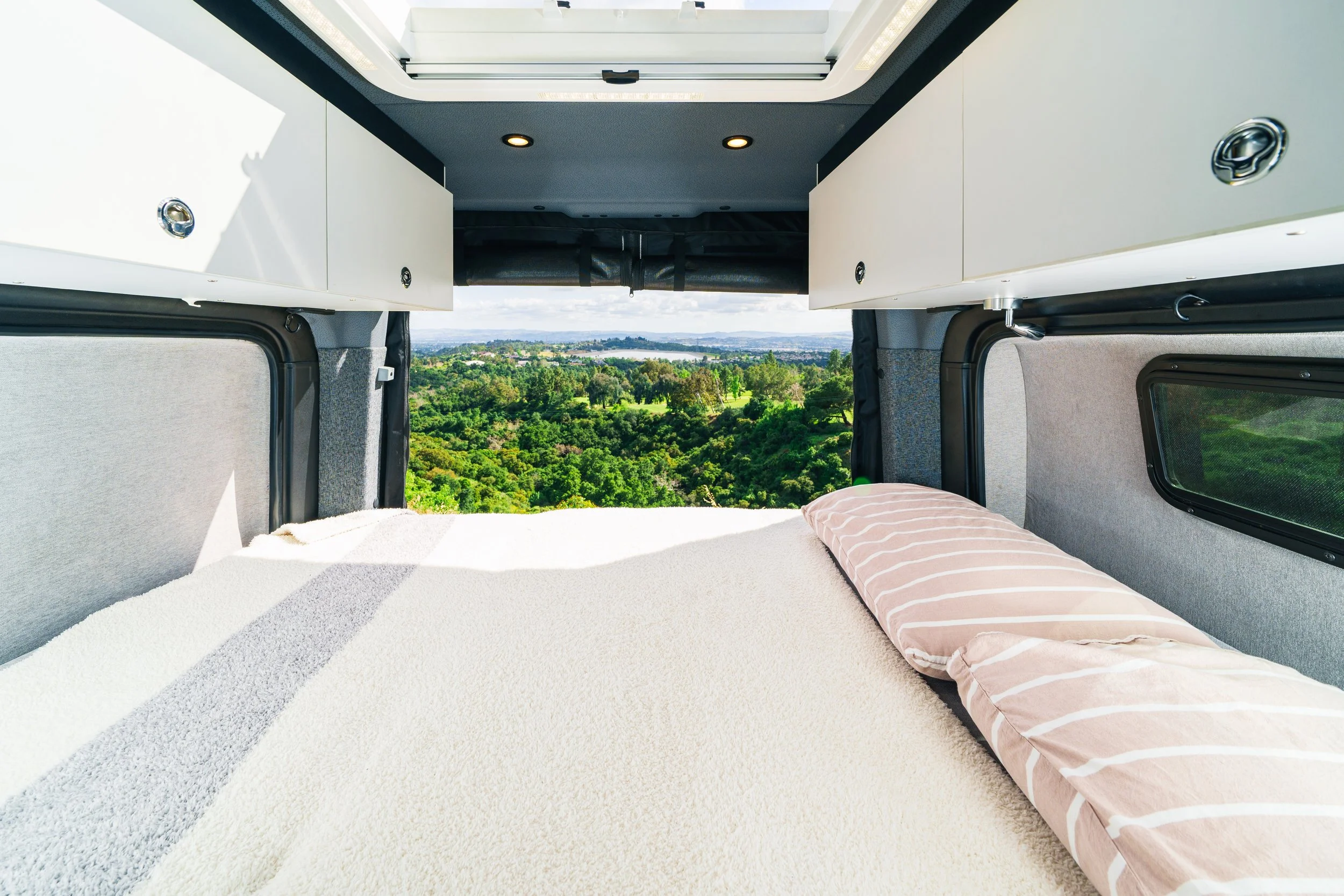 TrueVan Vision X — TrueVan