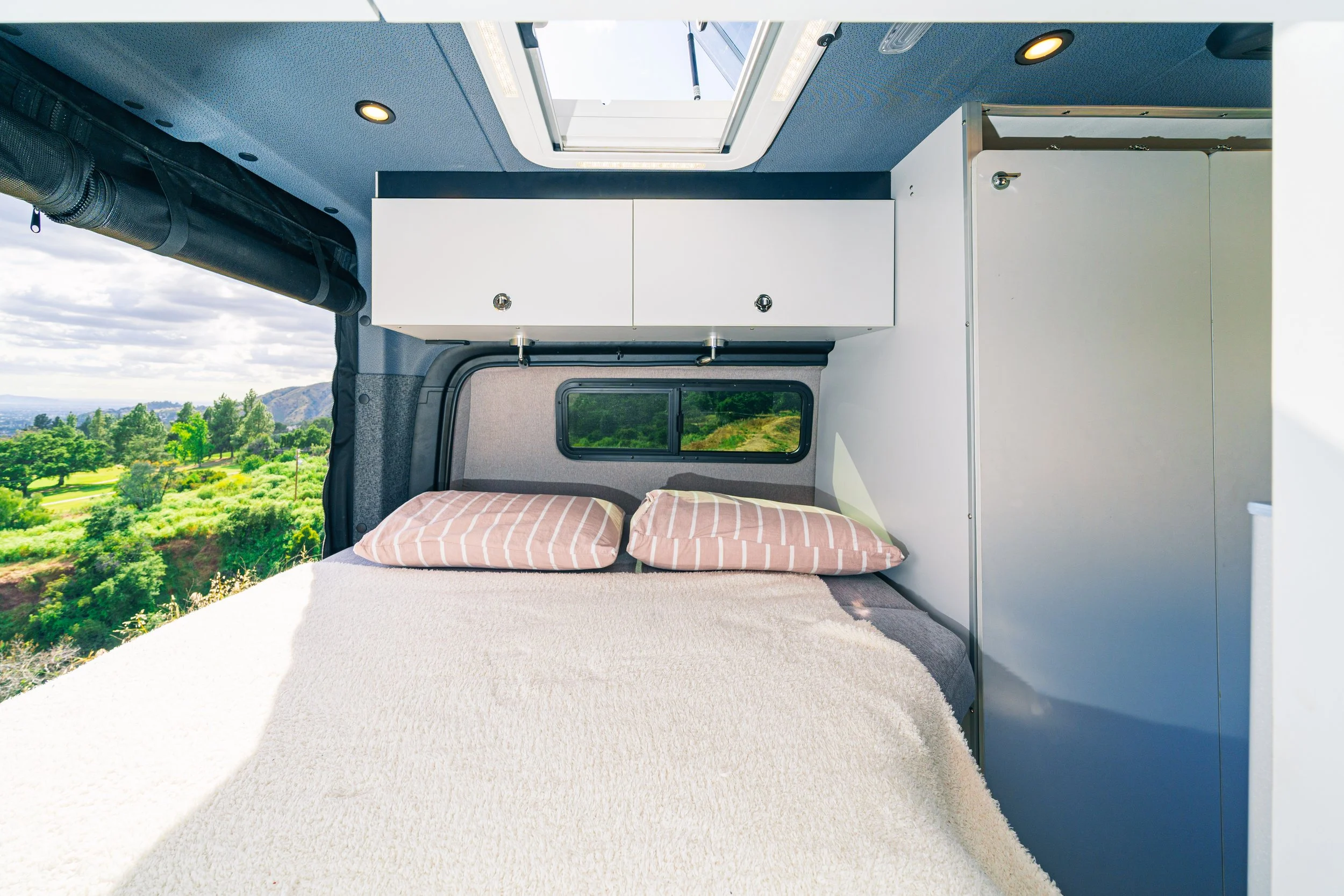 TrueVan Vision X — TrueVan