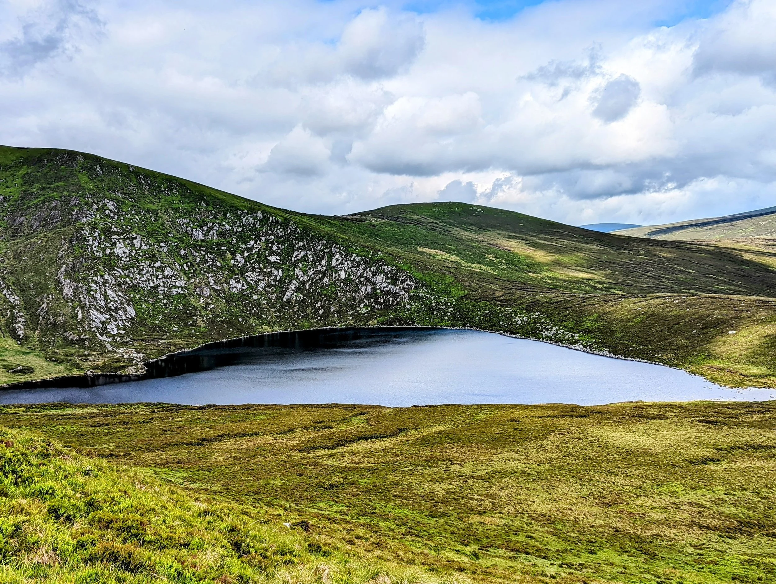 Portfolio | Web Development — Molly Coyle Shibley