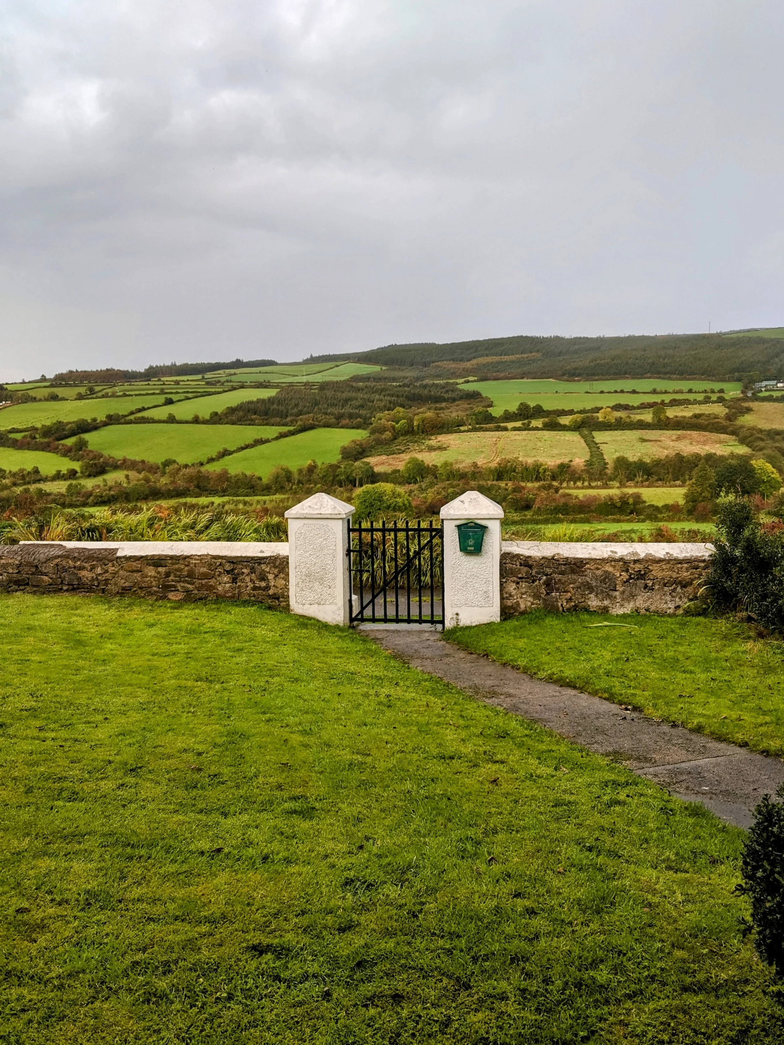 About — Molly Coyle Shibley